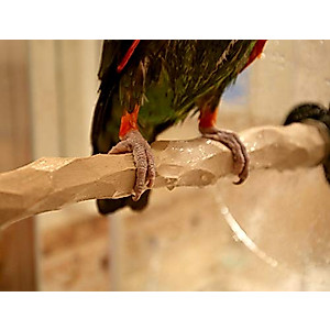 Shower NU Perch for Small to Medium Parrots