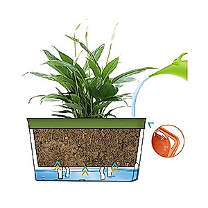 GardenBasix Self Watering Planter Pots Window Box for Indoor Plants Home Garden Modern Decorative Flower Pot for All House Herbs Succulents Set of 6 (6, Green(Rectangle))