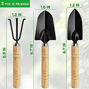 Hand Shovel for Gardening Trowel Garden Tool - 3Pcs Gardening Set of Tools Small Garden Rake Ergonomic Garden Hand Tools Wood Handle Gardening Tool 3 Piece - Gardening Tools Heavy Duty Garden Tool Set