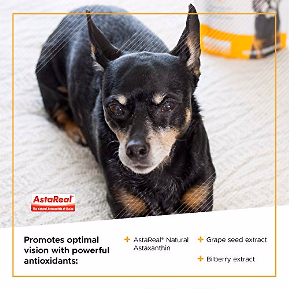 VetriScience Golden Years Clear and Bright for Senior Dogs, Chicken Liver, 60 Soft Chews - Promotes Eye Health with Powerful Antioxidants