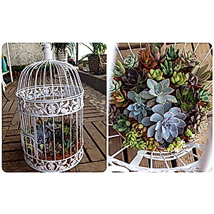 PET SHOW Round Birdcages Wedding Gift Cards Holder Metal Wall Hanging Bird Cage for Small Birds Party Indoor Ourdoor Decoration 10.6“ Black Pack of 1