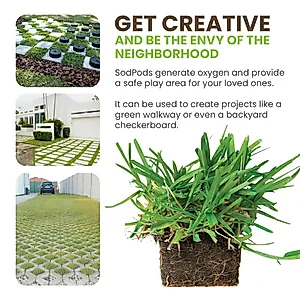 Cannot Ship to California/AZ SodPods® St Augustine Floratam Grass Plugs (32-Count) Natural, Affordable Lawn Improvement