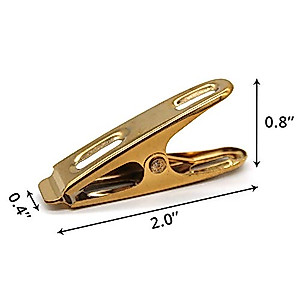 AITRAI Stainless Steel Clothespins-50 Pack Gold Clothespins Wire Metal Clothes Pins Laundry Clips for Outdoor Clothesline Home Kitchen Travel Office Decor Food Bag (Gold)