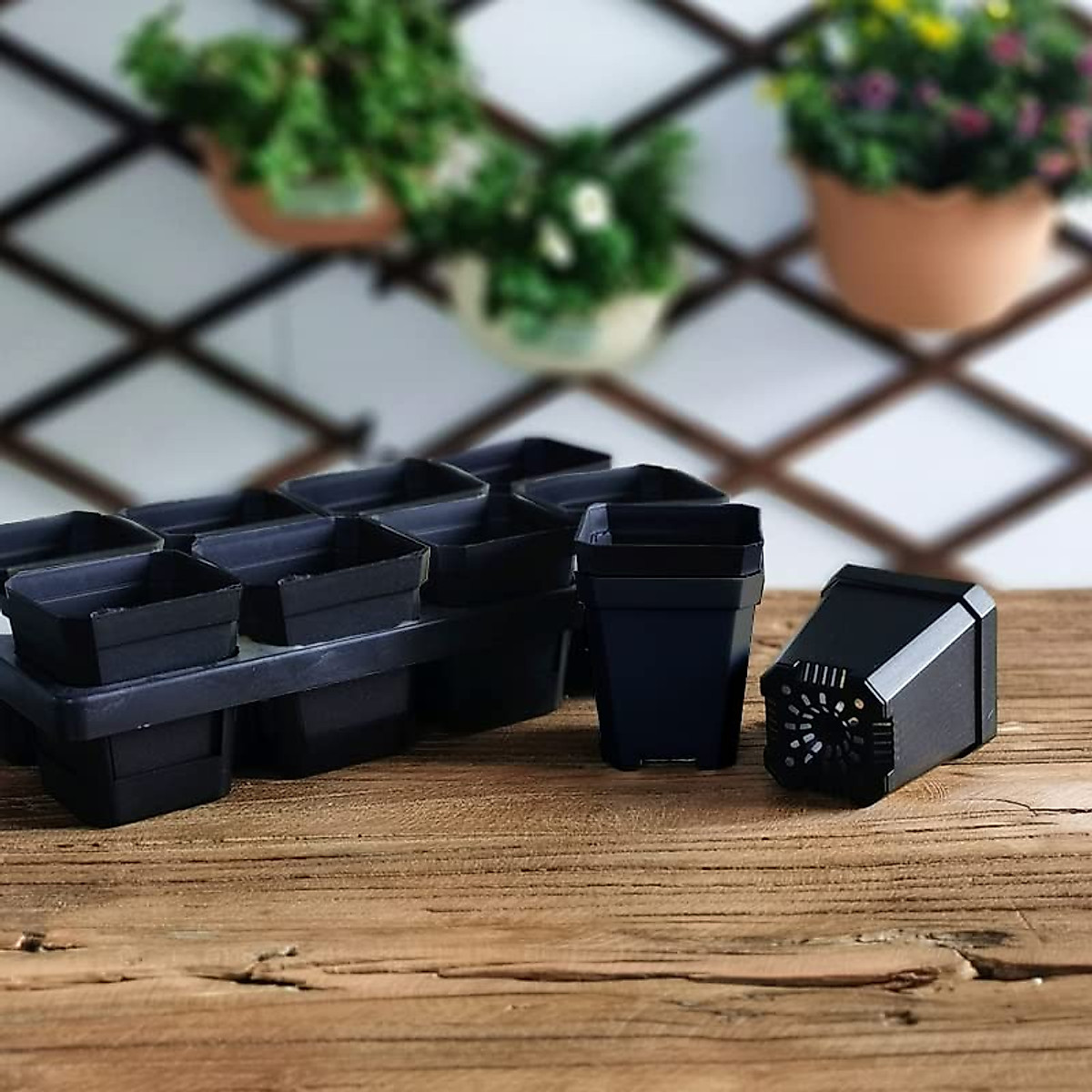 Cashger 10 Pack Plant Nursery Pots Sets 3" Thicken Soft Plastic Gardening Pot Little Planting Pots Seedling Cups with 10 PCS Labels, Humidity Lids and Trays