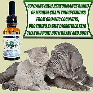 Green Planet Hemp | Free Toy | 1000MG Organic Tincture | Pet Hemp Oil for Dogs and Cats | 100% Natural and Non GMO | Offers your Pet Hip, Joint, and Muscle Support | Aids with Anxiety,Stress, and Pain