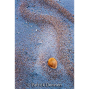 Sierra Club Engagement Calendar 2021