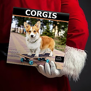 MICASA Corgis 2024 Wall Calendar 12 Month | 12" x 24" Open | Thick & Sturdy Paper | Giftable | Calendar 2024