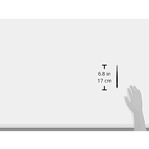 PLATINUM Fountain Pen, Black Body (DPQ-700A#1)