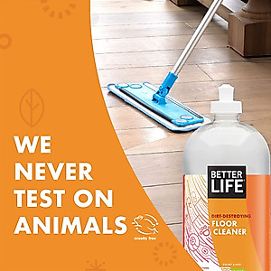 Better Life Naturally Dirt-Destroying Floor Cleaner, Citrus Mint, 32 Fl Oz (Pack of 2)