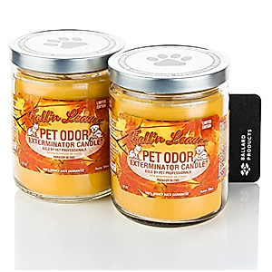 Specialty Pet Odor Exterminator Fall N Leaves Scented Candle Pack of 2 - Pet Odor Candles - Bundle with Ballard Products Air Freshener