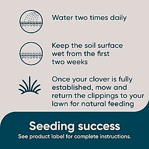 Scotts Pursue Clover Lawn, Rich in Natural Ingredients, 2 lbs.