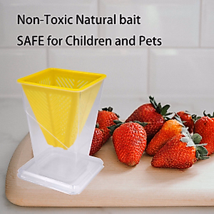 Voltup Fruit Fly Trap for Indoors Reusable with Sticky Pads Non-Toxic Funnel Fruit Fly Catcher Safe for Pets in House and Kitchen Easy to Use and Controls Fruit Flies with Natural Lure 4PCs