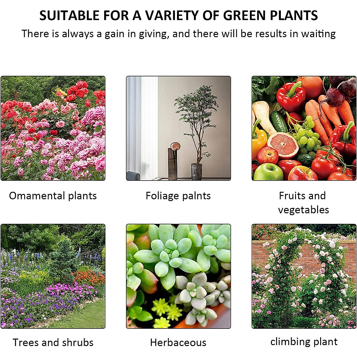 KAMATION Plant Growth Enhancer Supplement, 2023 Upgraded Take Root Rooting Hormone Supplement for Transplant & Rescue The Disease Seedlings, Promotes Rooting, Grow New Plants from Cutting (A*2pcs)