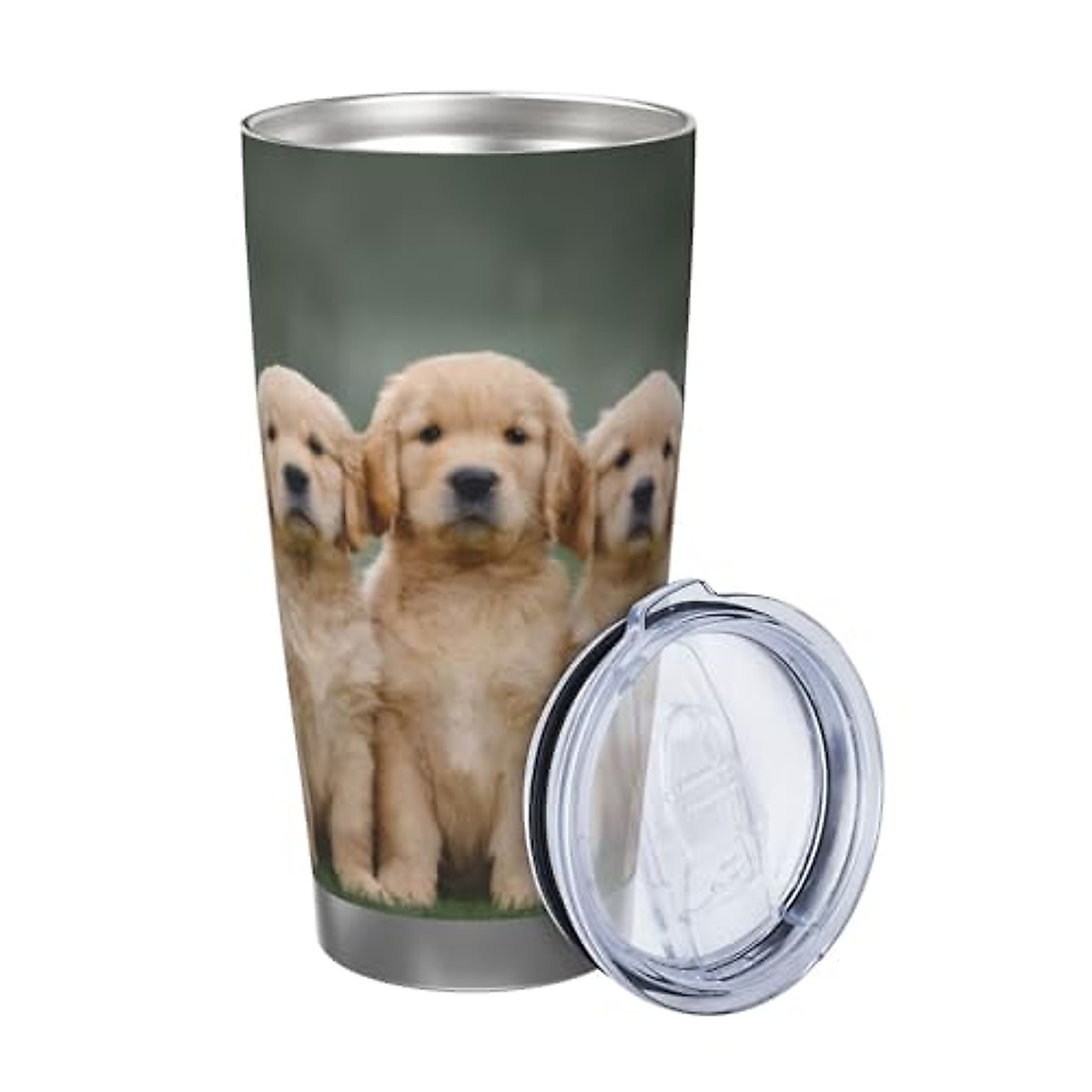 NHJKLWQSZ Golden Retrievers 20oz Stainless Steel Tumbler With Lid And Straw, Double Wall Vacuum Insulated Coffee Mug Travel Cups Leak-Proof Lid For Hot And Cold Drinks, Metal Straws And Brush