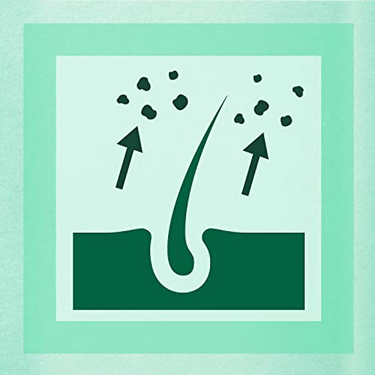 Garnier Fructis Deep Cleansing Invisible Dry Shampoo, Powered by Rice Starch and Clay to Instantly Refresh Hair, No Visible Residues, Aloe Clean, 4.4 oz, 2 Count