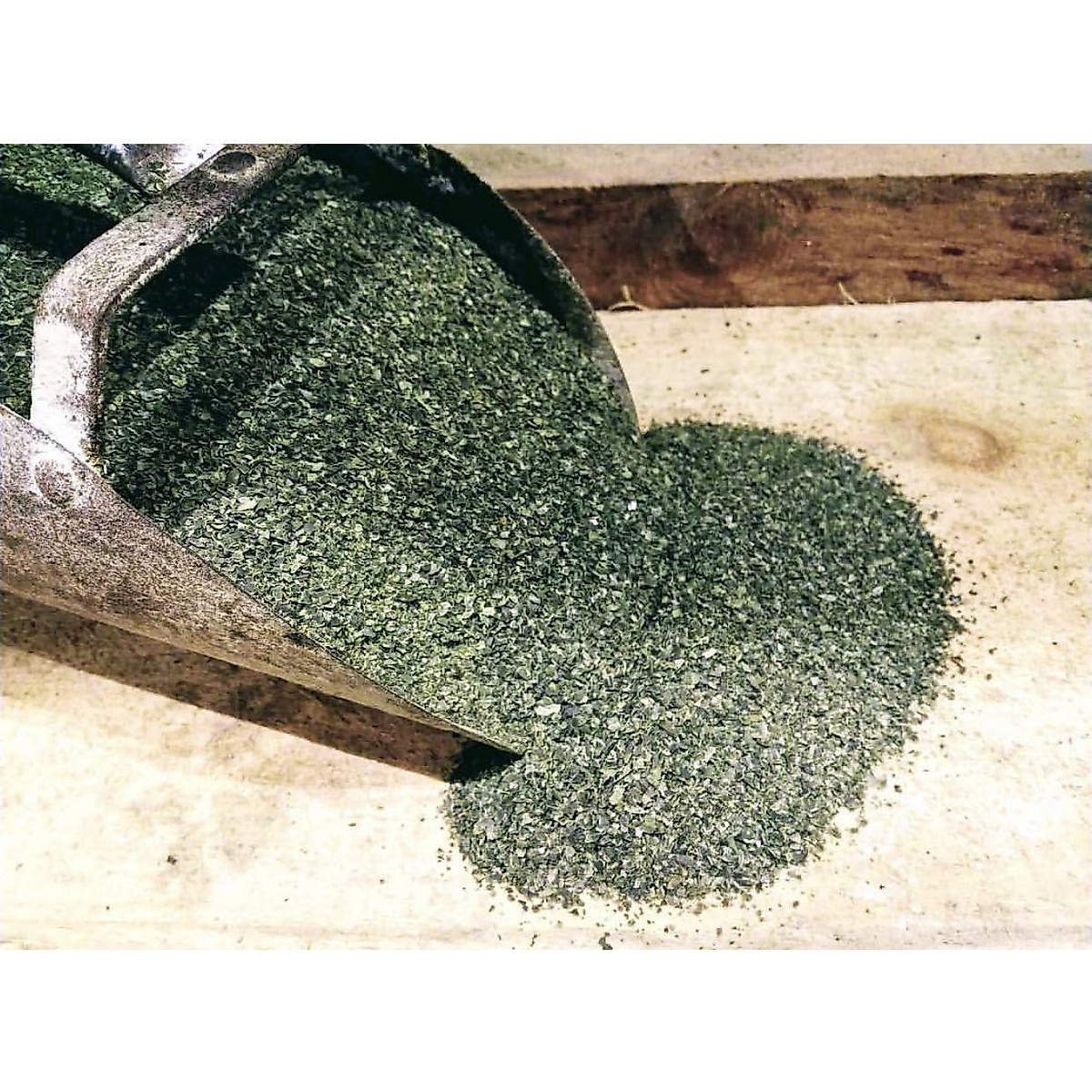 Organic Kelp Meal – Natural Supplement & Fertilizer (50 lb) L M8