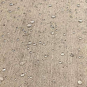 Eco Advance Concrete/Masonry Siloxane Odorless Spray-On Application Waterproofer Concentrate, Safe for Use Around Plants, Pets, and People, 1 Gallon