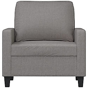 WHOPBXGAD Sofa Chair,Living Room Sofas, upholstered Sofas for Living Rooms, bedrooms, Offices and Apartments,Light Gray 23.6" Fabric