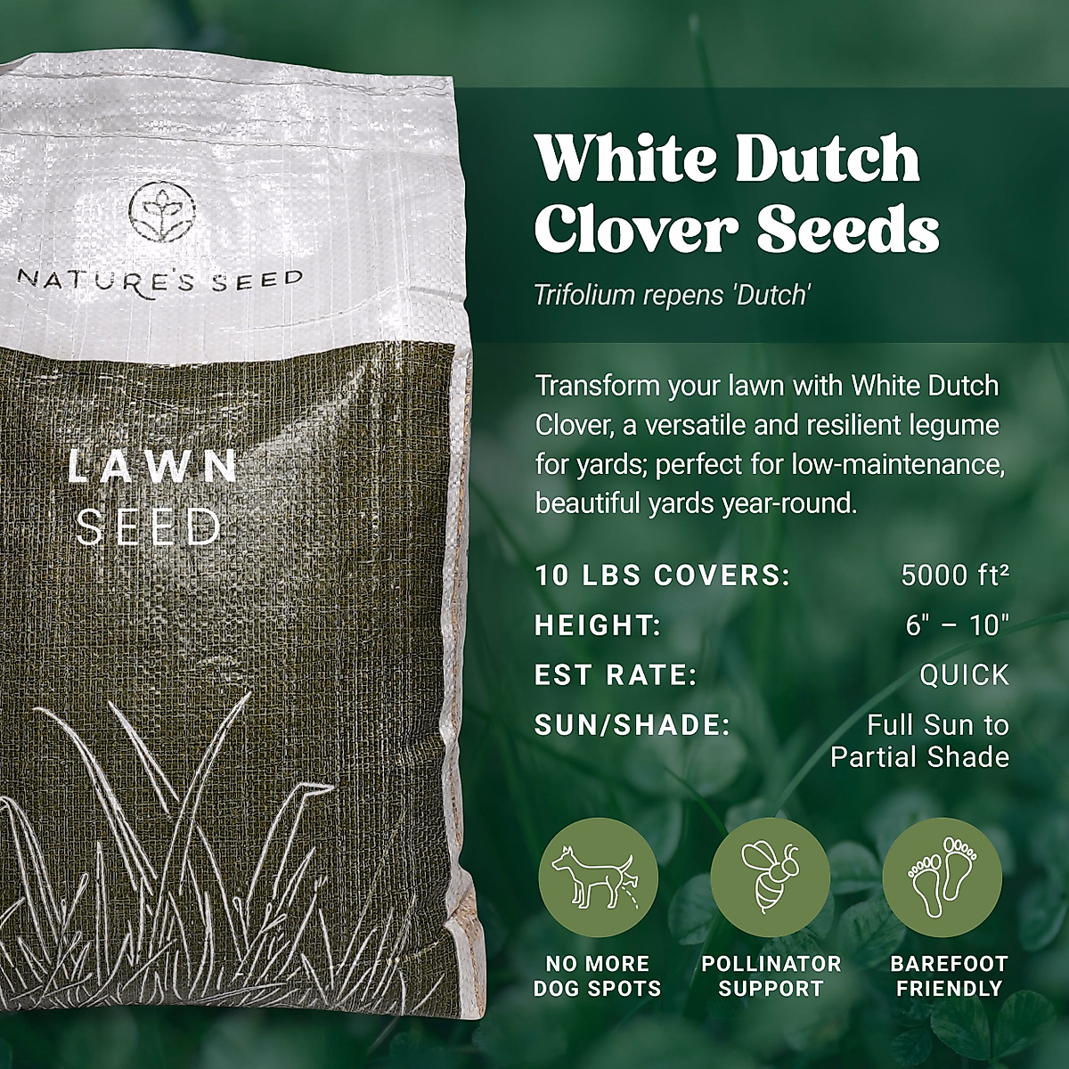 Nature’s Seed White Dutch Clover Seed, Drought Tolerant Ground Cover, Low Maintenance Garden Yard Lawn Alternative, 5000 sq ft