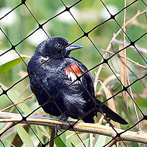 Bird-X Standard Bird Netting, Ideal for Gardens and Lightweight Applications, UV-Stabilized Mesh Netting with 3/4" Hole Opening, Easy to Install, 100' x 14'