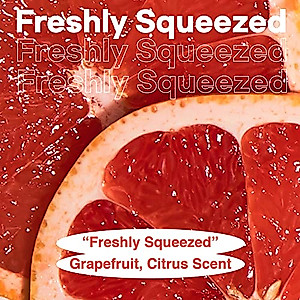 skybottle Hair & Body Mist, Lasting Fragrance with Grapefruit Citrus Scent, Travel Size Perfume and Body Spray, Hygiene Essentials for Women, Girls Valentine Gift, 3.4 Fl. Oz