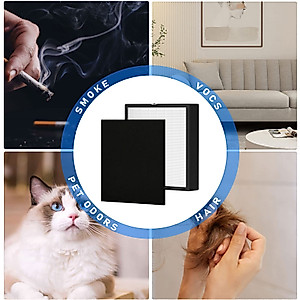 BF35 True HEPA Filter Replacement Compatible with BF35 BreatheSmart Classic Air Puri-fier for Large Room, 2 Pack BF35 HEPA Filter Replacement with Activated Carbon