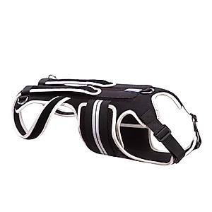 LufeLux Back Brace for Dogs with IVDD, Arthritis, Back Pain, Surgical Recovery and Rehabilitation, Dachshund Back Pain Relief, IVDD Harness(Large)