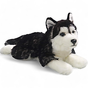 Carl Dick Husky 14 inches, 32cm Overall Length, Plush Toy, Soft Toy, Stuffed Animal 2783