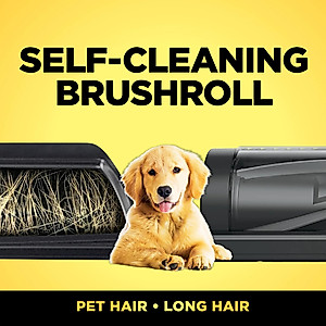 Shark Pet Pro Cordless Stick Vacuum with MultiFLEX IZ340H