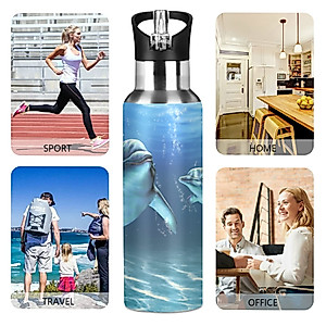 Dolphin Water Bottle with Straw Lid Thermos Ocean Kids Insulated Stainless Steel Water Flask 20 Oz Dolphins