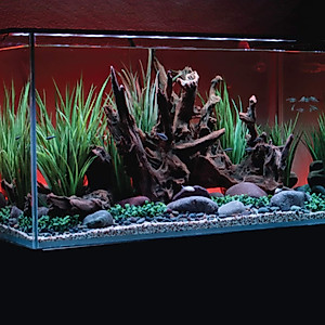 CURRENT USA Serene Add-on Accessory LED Background Light Kit | Includes Frosted Background Glass Film and RGB LED Light Strip | Fits Aquariums 48"-60" (Requires Serene Controller)