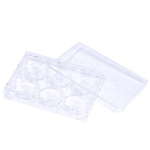 BIPEE Polystyrene Petri Dish 6 Well Cell Culture Plate, Sterile, Pack of 10