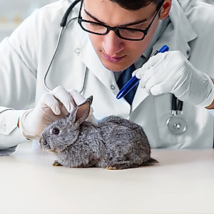 BV Medical LED Penlight, Metal, Push Button, Cobalt Blue