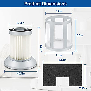 Filter Replacement Compatible with Bissell 2156, 2156A, 1665, 16652, 1665W Zing Canister Vacuum Cleaner, Replace Part 1613056, 2PCs 2156A Filter + 4 Post Motor (2PCS)