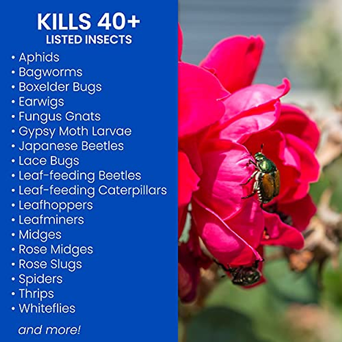 BioAdvanced Dual Action Rose and Flower Insect Killer, Continuous Spray, 15.7 oz