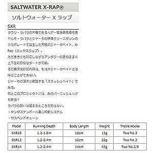 Rapala X-Rap Saltwater Fishing Lure (Blue Sardine, Size- 4)