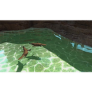 Zoo Tycoon Definitive Edition - XBONE