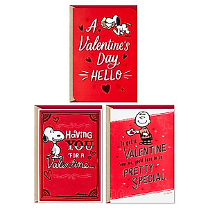 Hallmark Pack of 3 Peanuts Valentines Day Cards (Snoopy and Charlie Brown)