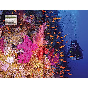 Fodor's Essential Egypt (Full-color Travel Guide)