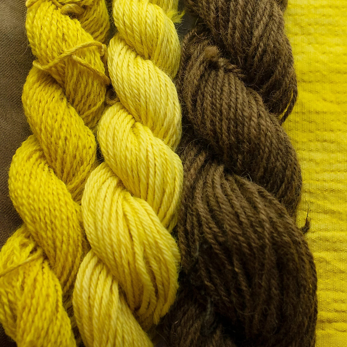 Shepherd Textiles French Weld Extract Natural Dye, 1 oz.