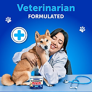 Glucosamine for Dogs - Hip and Joint Supplement for Dogs - 180 Chews - Glucosamine Chondroitin for Dogs, Turmeric, MSM - Dog Glucosamine Support - Dog Joint Pain Relief Health - Duck Flavor