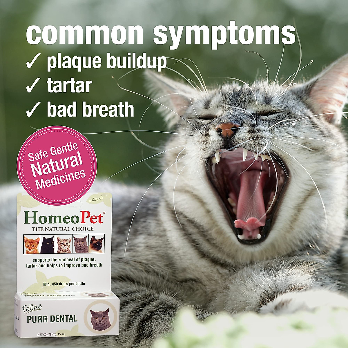 HomeoPet Feline Purr Dental, Safe and Natural Tooth and Dental Care for Cats, Cat Dental Care, 15 Milliliters