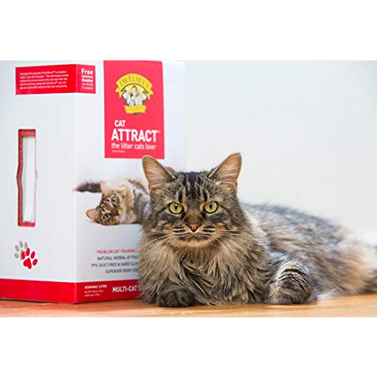 Precious Cat Cat Attract Problem Cat Training Litter, 20 pound box