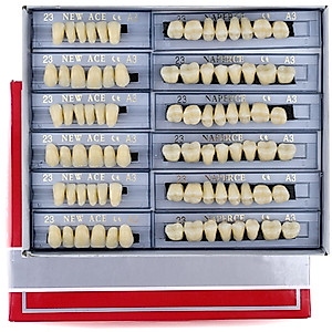 168 Pieces False Teeth Dental Complete Acrylic Resin Denture Teeth, 6 Sets Whole Teeth Synthetic Polymer Denture Tooth, 23 Shade A3 Upper + Lower Dental Materials for Replacement, DIY, or Halloween