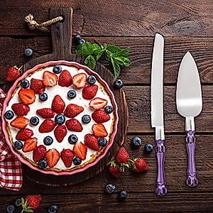 Homi styles Cake Knife and Server - Wedding Cake Knife Set - Serving Set for Receptions, Birthdays - Cake Cutting Set - Match the Color to Your Event Theme - Cake Knife and Cutter (Purple)