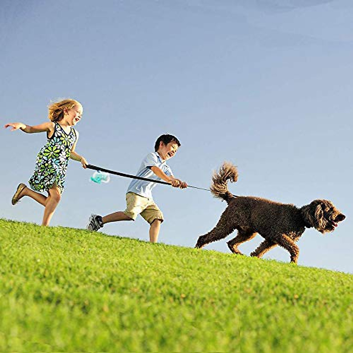 POQOD Dog Poop Bags - Leak-Proof Dog Waste Bags, Clean up Pet Poo Bag Refills 9 Rolls /135 Count, (Greenish-Blue) Includes Free Bone Dispenser and D-Ring Carabiners Clip