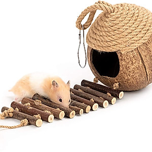 Dlhbafuya Coconut Birdhouse Coconut Shell Climbing nest Hamster hut with Ladder pet Bird Climbing Ladder nest Coconut Shell Bird nest Small Animal Habitat nest.