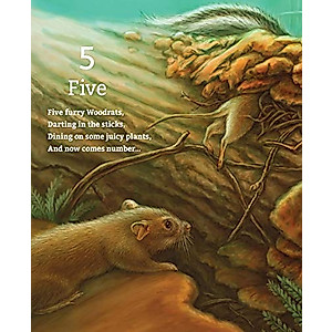 Tall Tall Tree: A Nature Book for Kids About Forest Habitats (A Rhyming Counting Book with STEAM Activities)