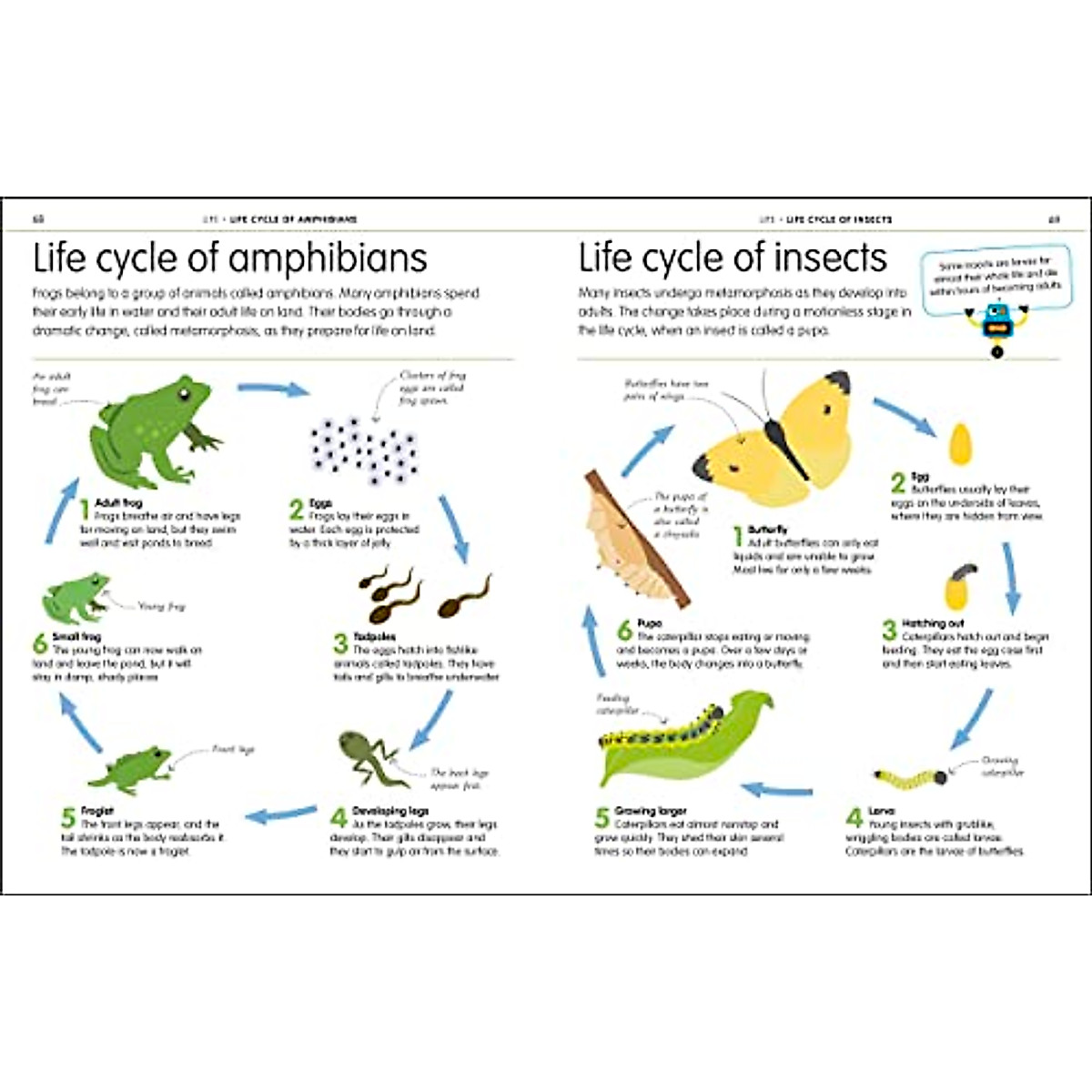How to Be Good at Science, Technology, and Engineering (DK How to Be Good at)