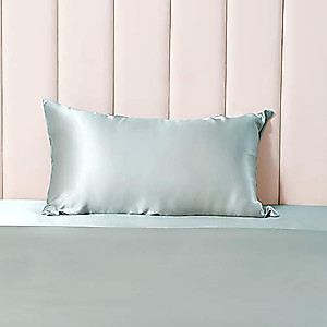 THXSILK 100% Silk Pillowcase for Hair and Skin Luxury 25 Momme Mulberry Silk, Pillow Cases with Hidden Zipper (Queen, Light Blue)